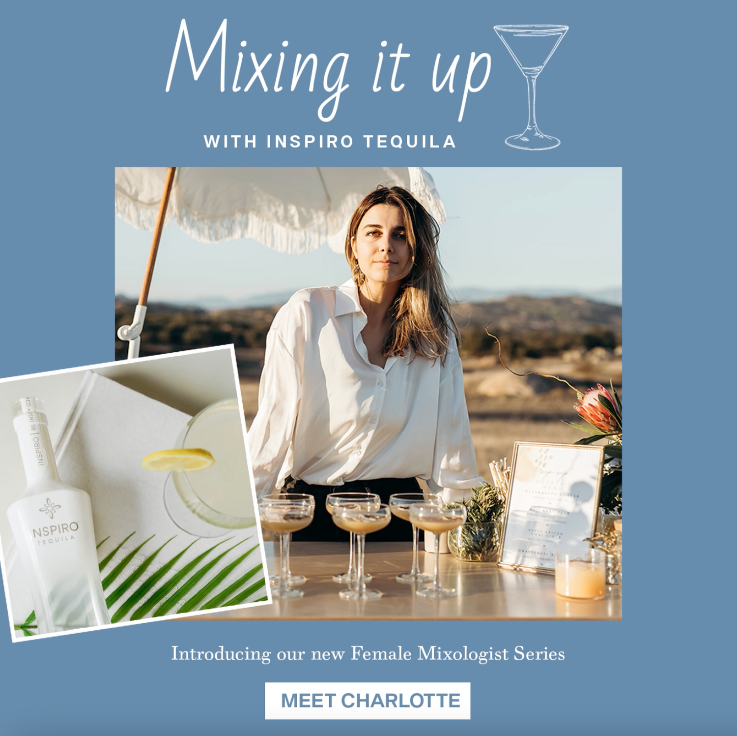 Tequila 101: All Things Blue Weber Agave – Inspiro Tequila